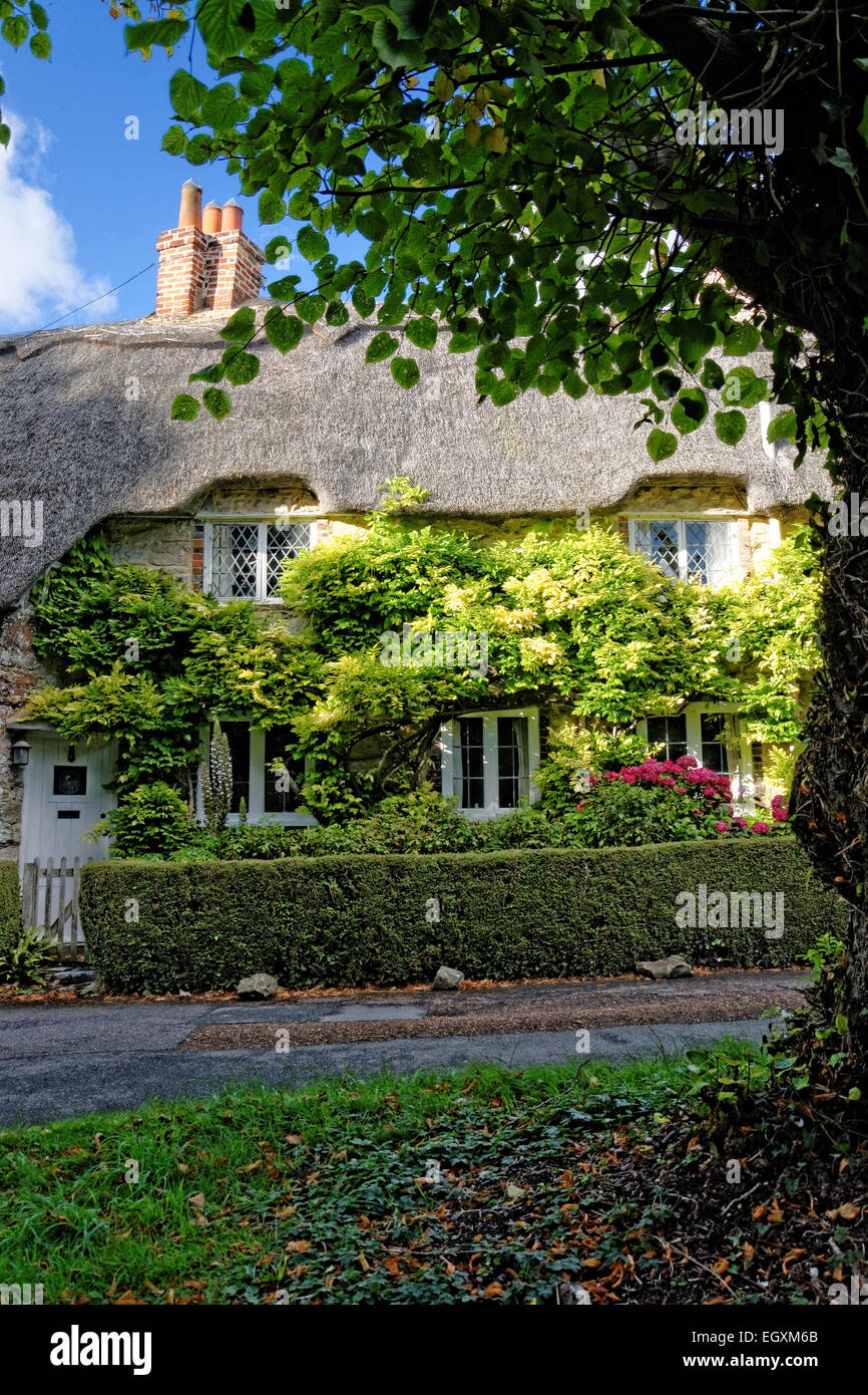Old thatched cottages in picturesque hi-res stock photography and ...