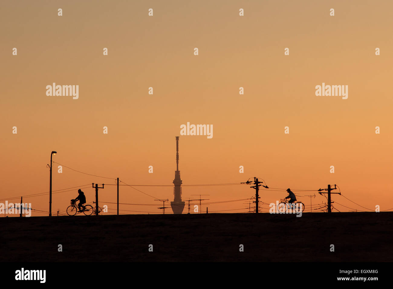 Skytree in silhouette seen above the banks of the Edogawa River near ...