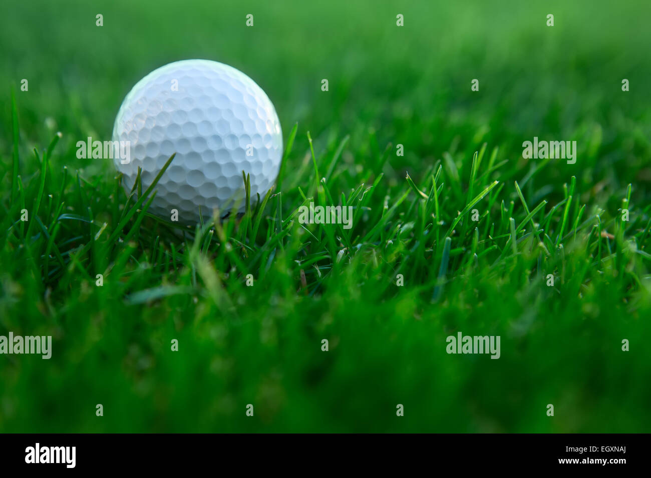 Traditional golf course hi-res stock photography and images - Alamy
