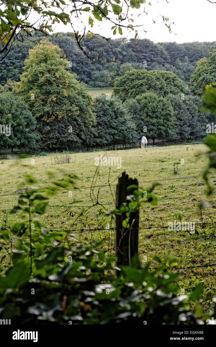 Cultivated countryside at Shorwell, Isle of Wight, a location for ...