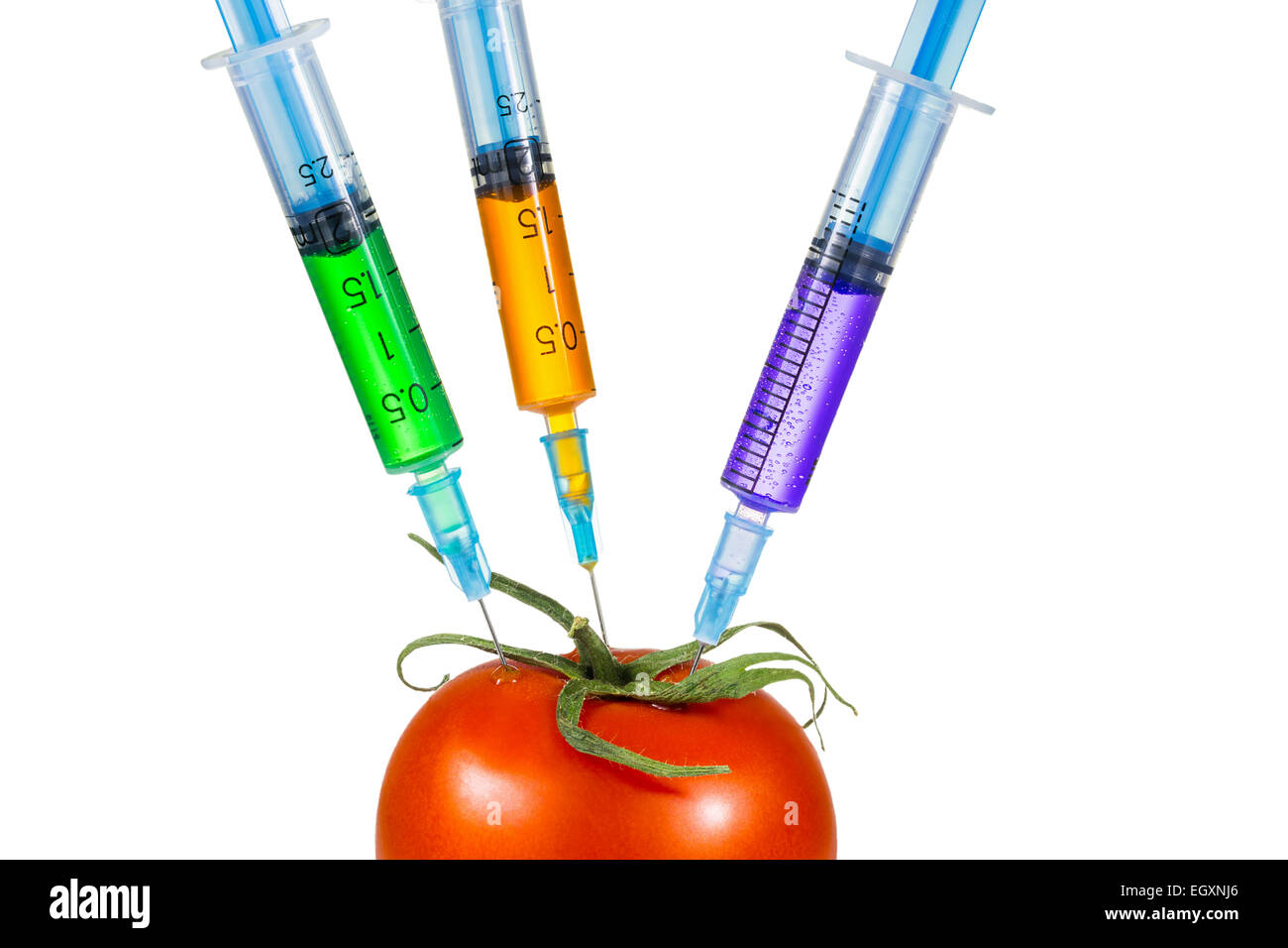 Genetic tomato plant hi-res stock photography and images - Alamy