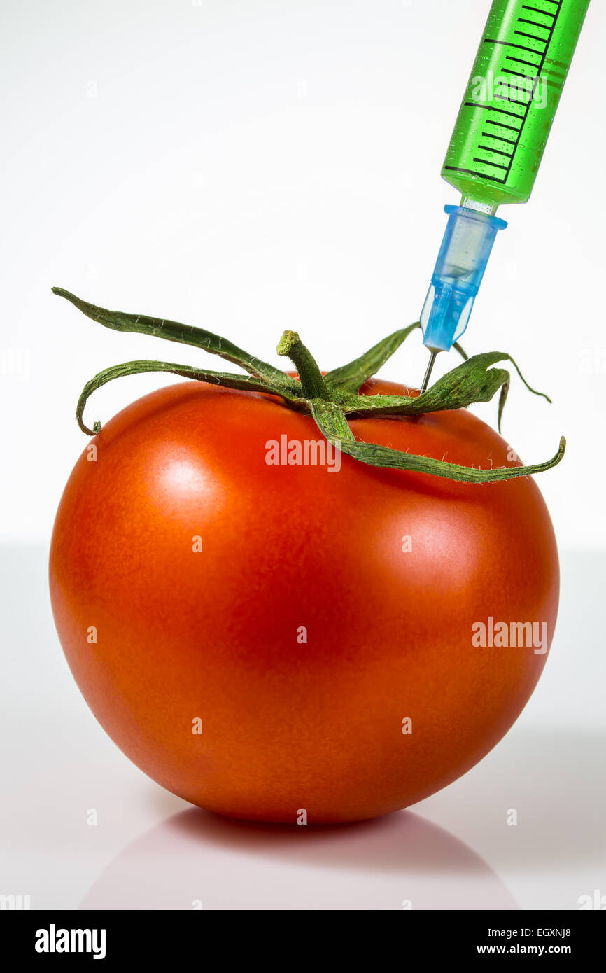 Genetic tomato plant hi-res stock photography and images - Alamy