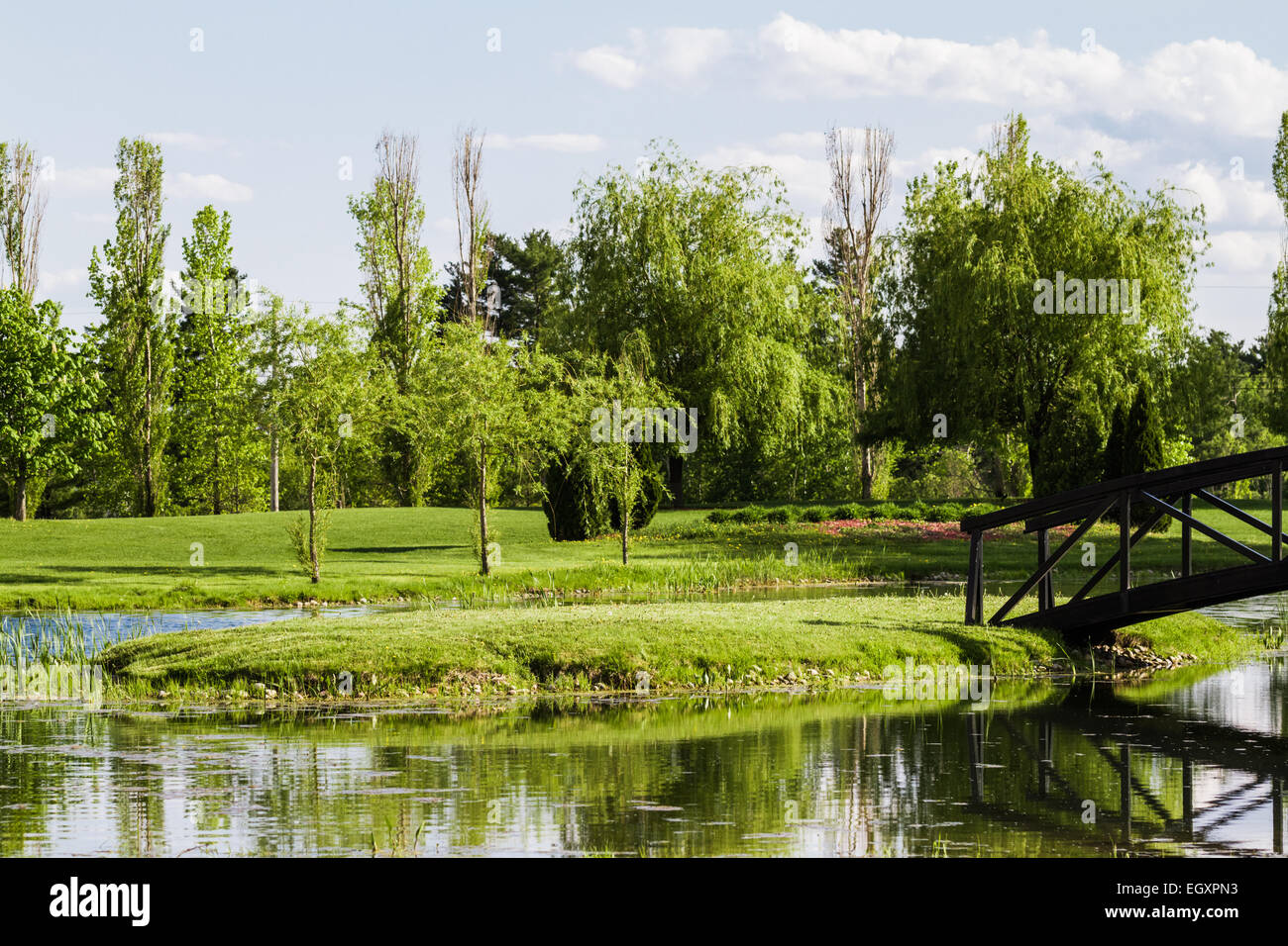 Little Bridge Over a Pond and landing on a Small Grass Island Stock ...