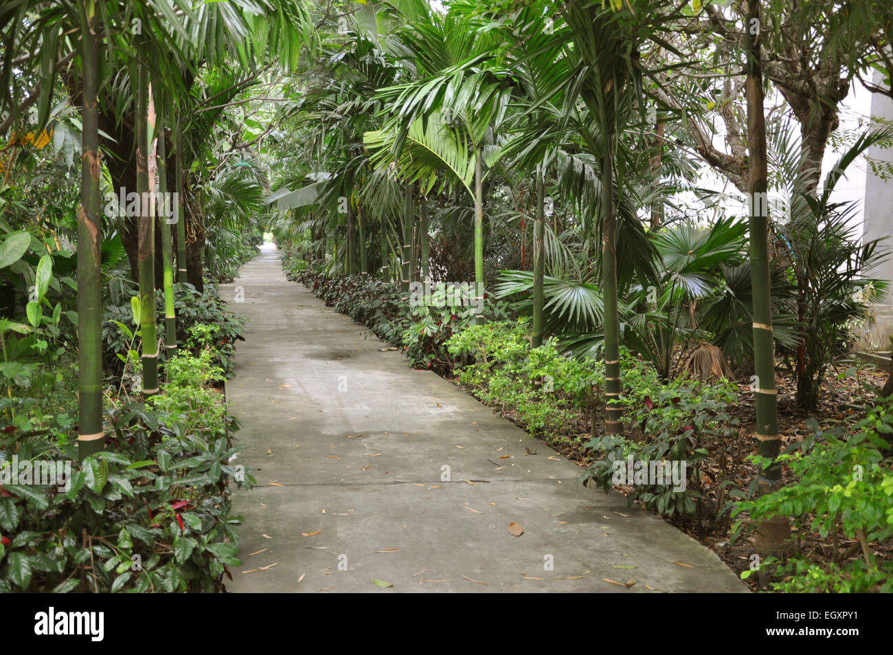 walkway, path, walk, alone, park, cement, passage Stock Photo - Alamy