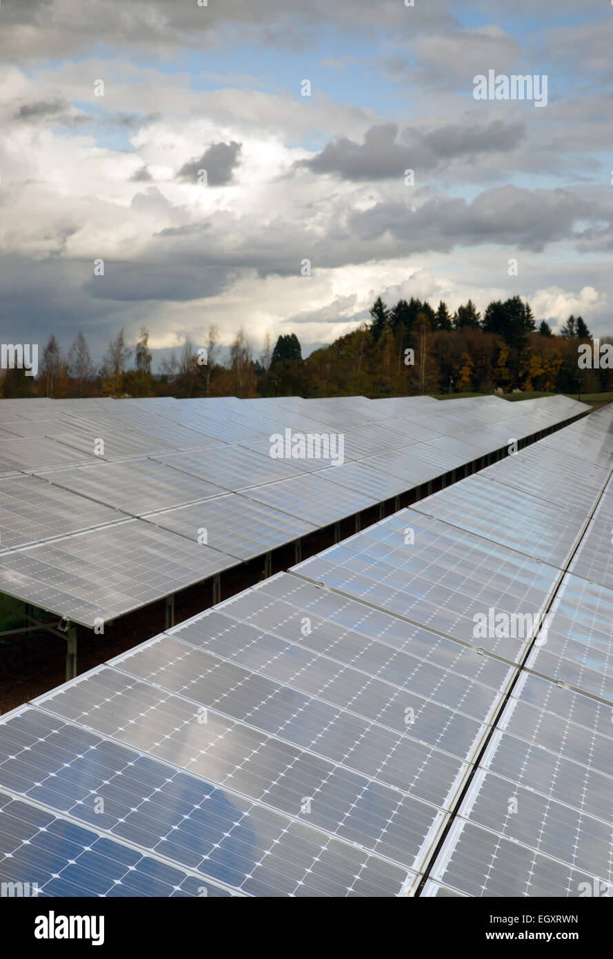 The sun hits panels on a green solar energy farm Stock Photo - Alamy