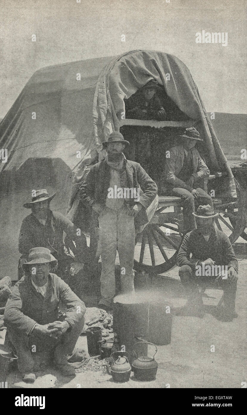 Dutch Boers outspanned - The span of oxen has been taken out and place ...