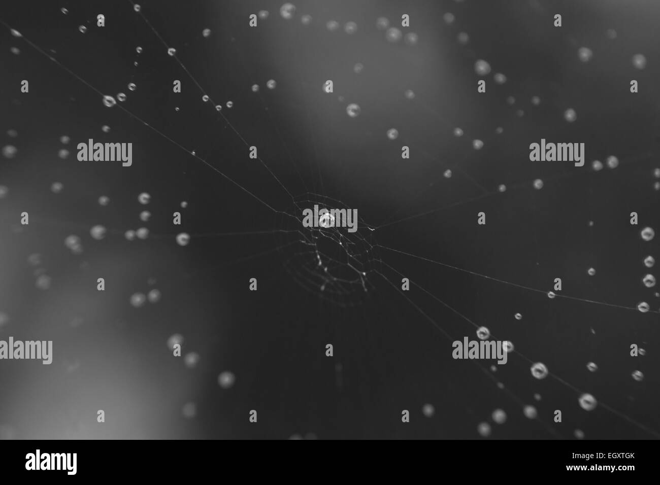 Space cobweb water Stock Photo - Alamy