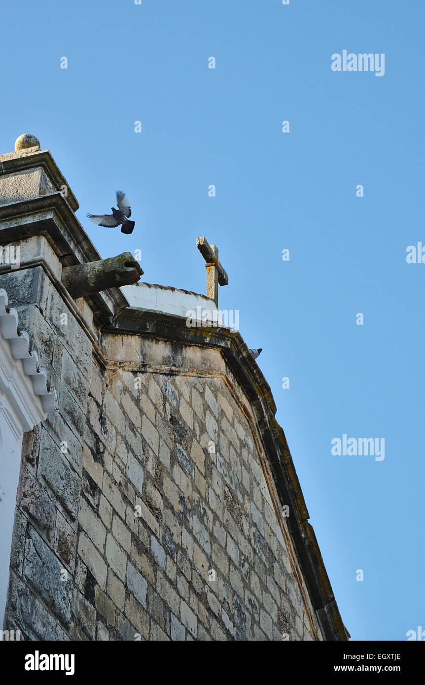 Pigeons and medieval church Stock Photo - Alamy