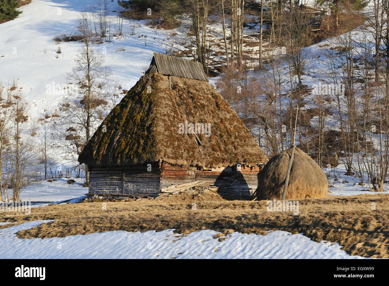 Wooden hut and haystack, Apuseni Mountains, Huedin region, Romania ...