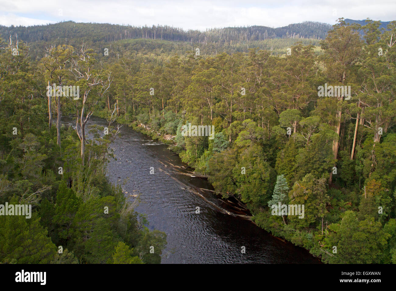 View over the Huon River from the Tahune Airwalk Stock Photo - Alamy