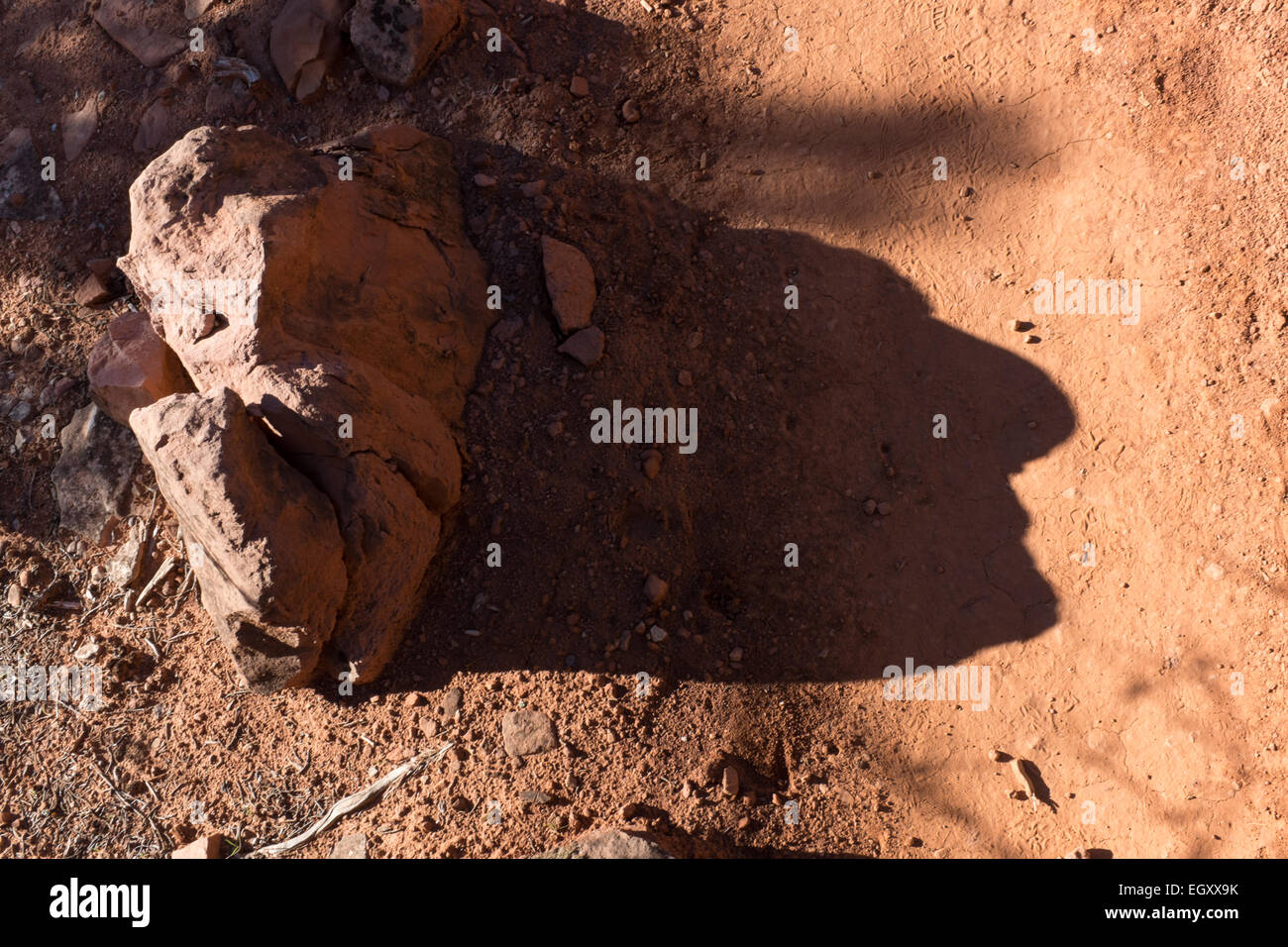 Sunlight over a rock makes a shadow that looks like a face in profile ...