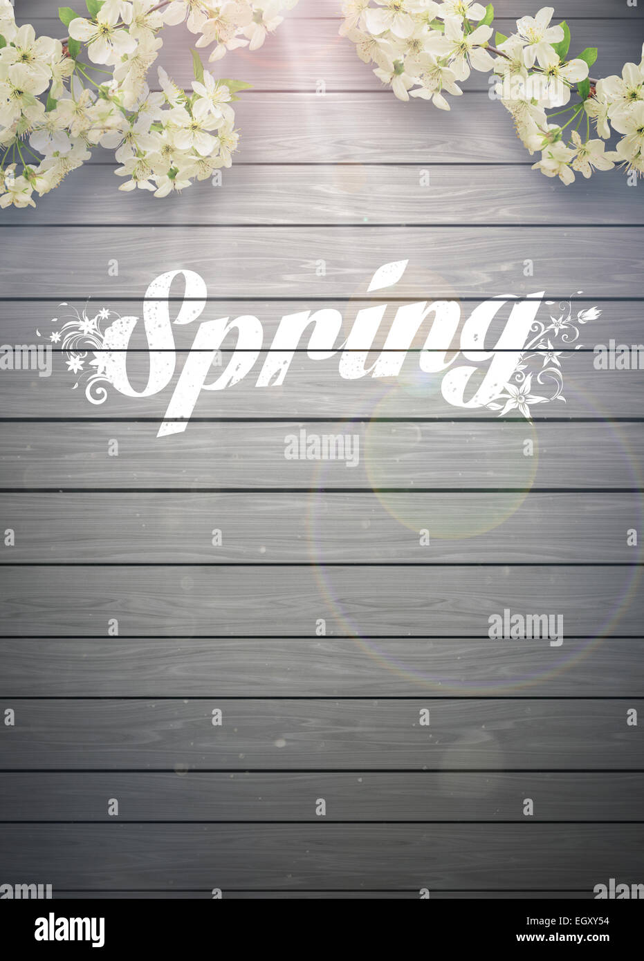 Spring invitation poster, flyer and other advert background with empty ...