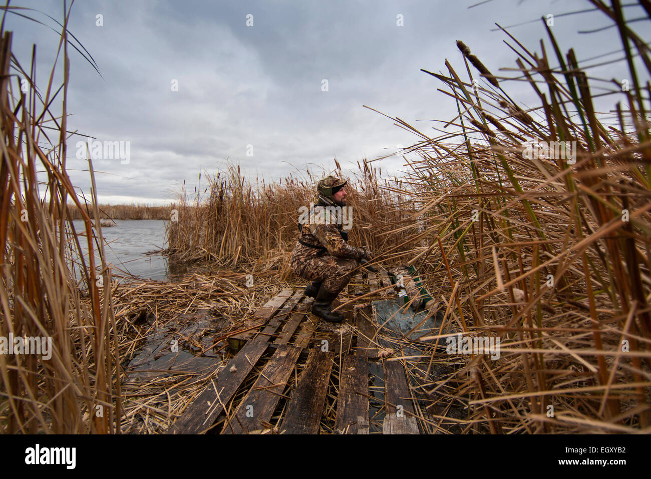 Duck hunting hi-res stock photography and images - Alamy