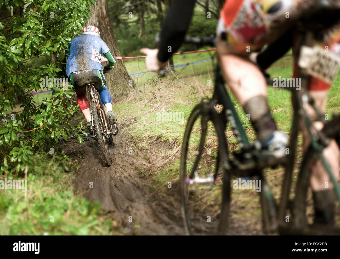 cyclocross riders racing down single track in san francisco Stock Photo ...