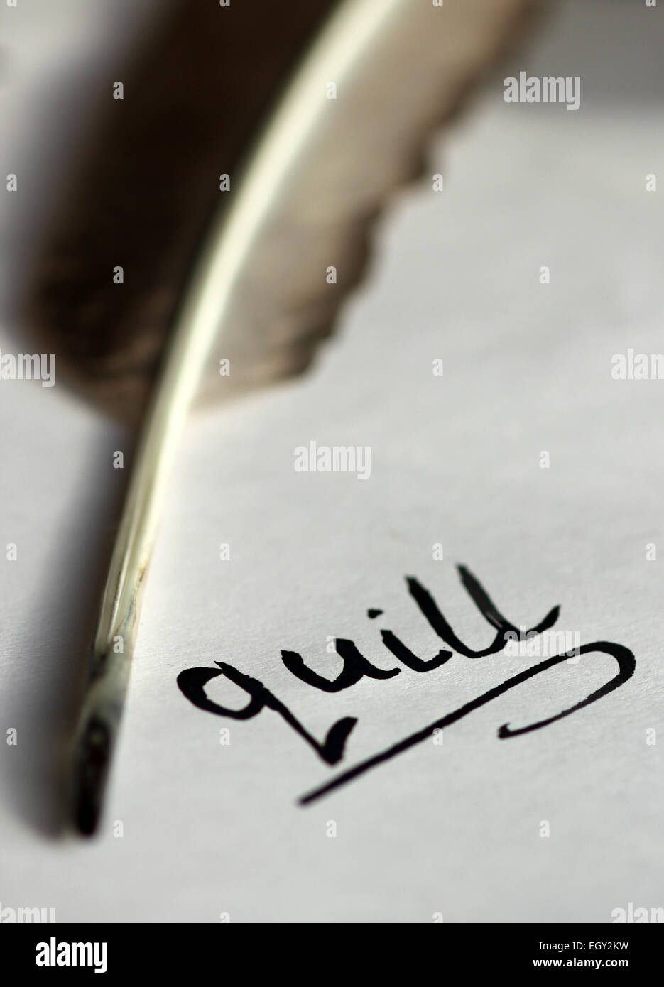 word quill and goose feather quill pen in italics Stock Photo - Alamy