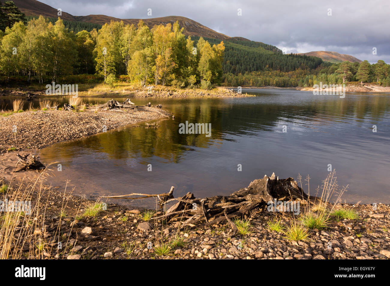 Glen affric scotland hi-res stock photography and images - Alamy