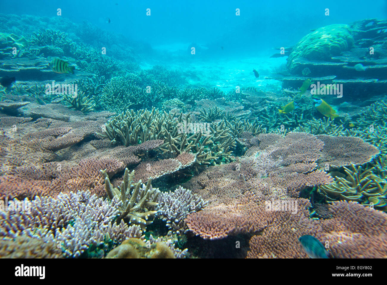 Tioman Island Stock Photos & Tioman Island Stock Images - Alamy