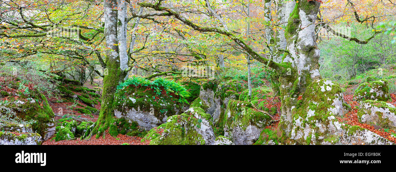 Spain, Navarra, Nature Park Urbasa-Andia Stock Photo - Alamy