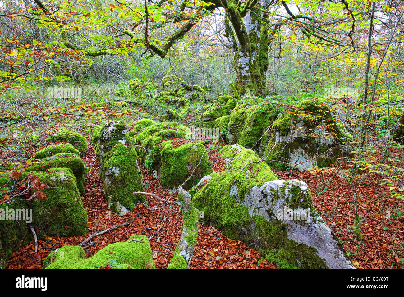 Spain, Navarra, Nature Park Urbasa-Andia Stock Photo - Alamy