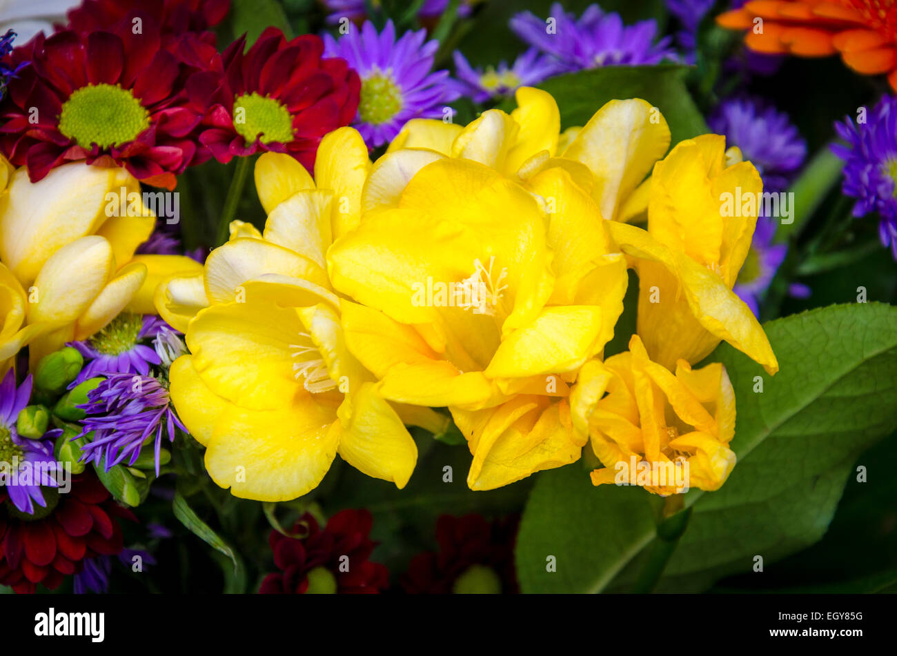 Bunch of flowers Stock Photo - Alamy