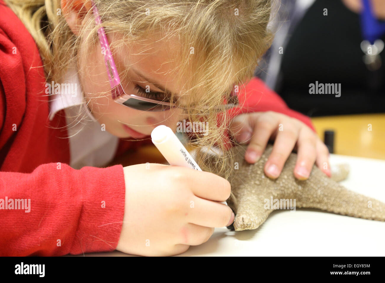 Visually impaired girl drawing round large shell. Mysight Nottinghm ...