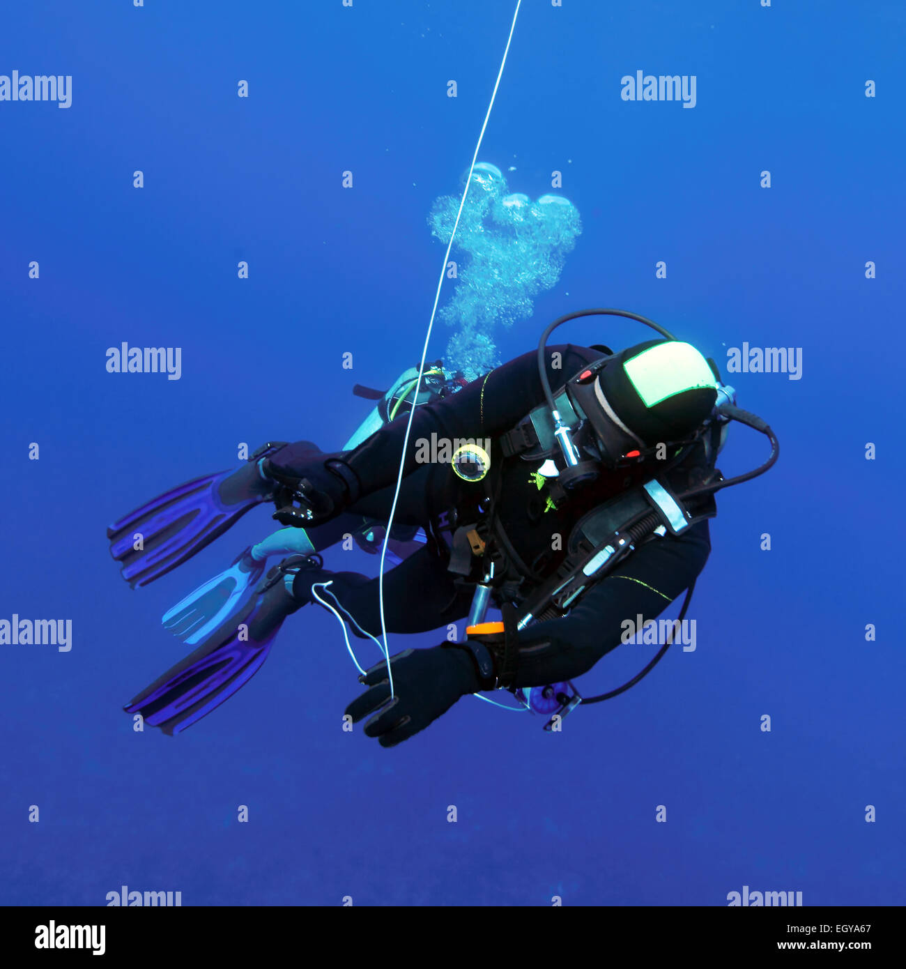 Divers at 5-minute Stop with Rope Stock Photo - Alamy