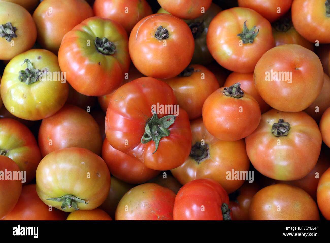 Agriculture damaged decompose dirty eaten hi-res stock photography and ...