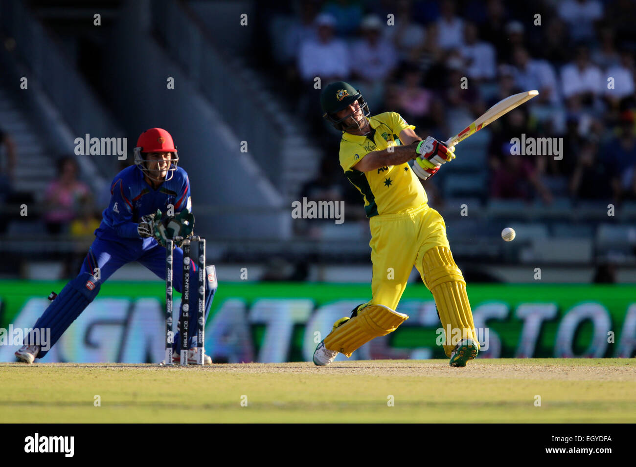 Glen maxwell hi-res stock photography and images - Alamy