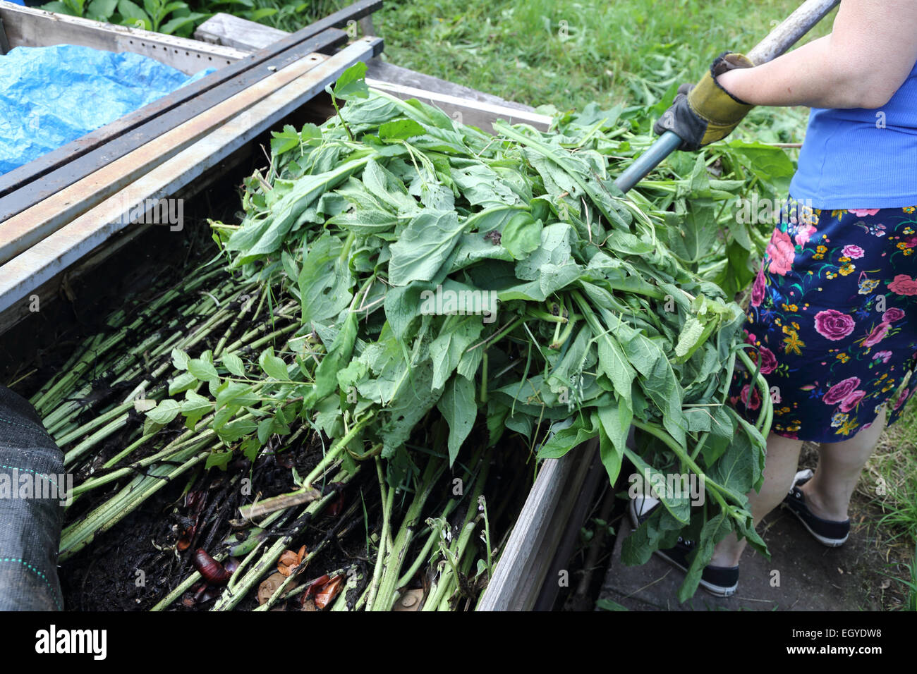 Enrich the soil hi-res stock photography and images - Alamy