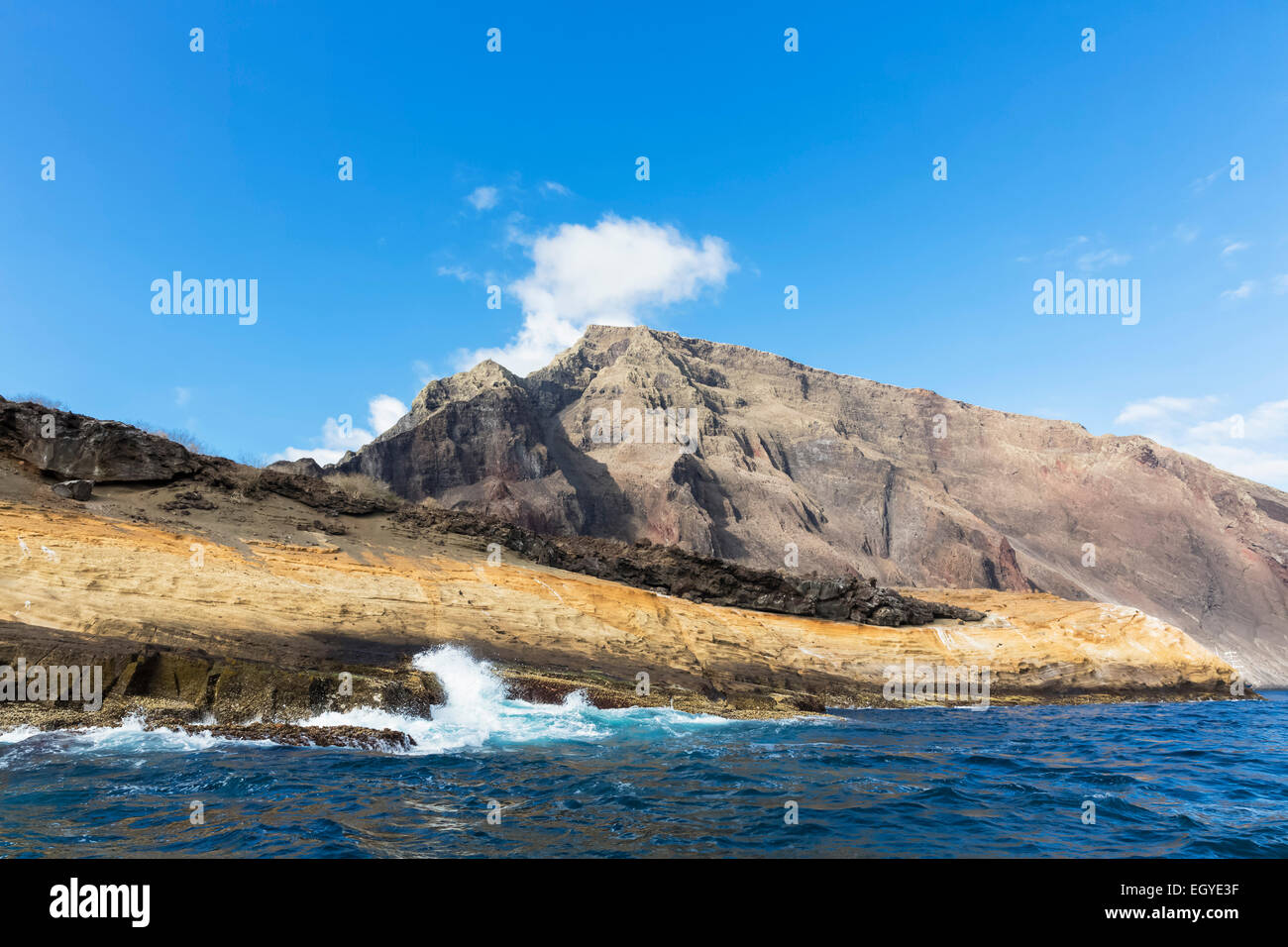 Ecuador, Galapagos Islands, Isabella Island Stock Photo - Alamy