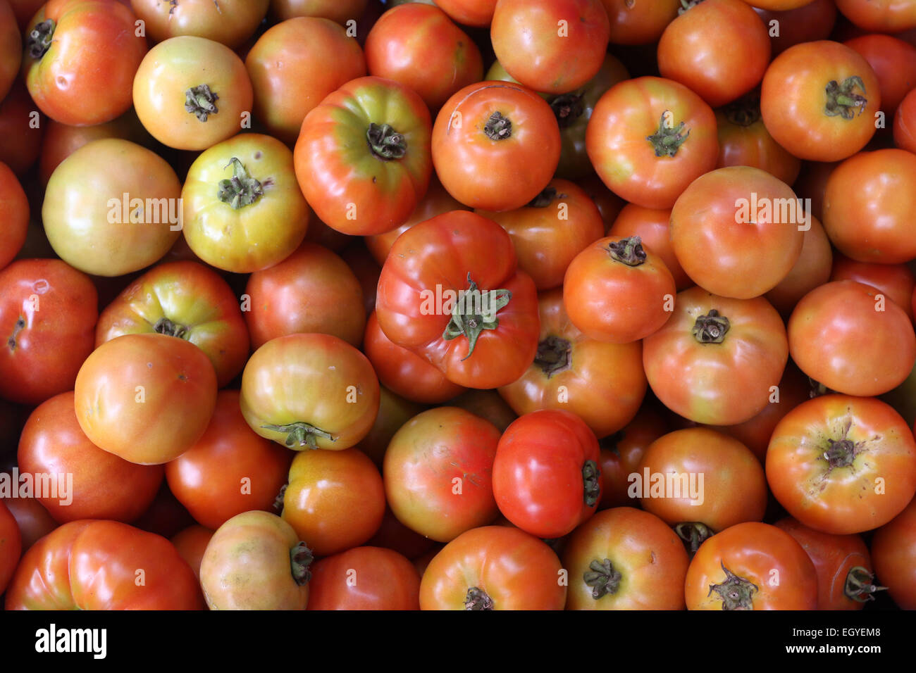 Agriculture damaged decompose dirty eaten hi-res stock photography and ...