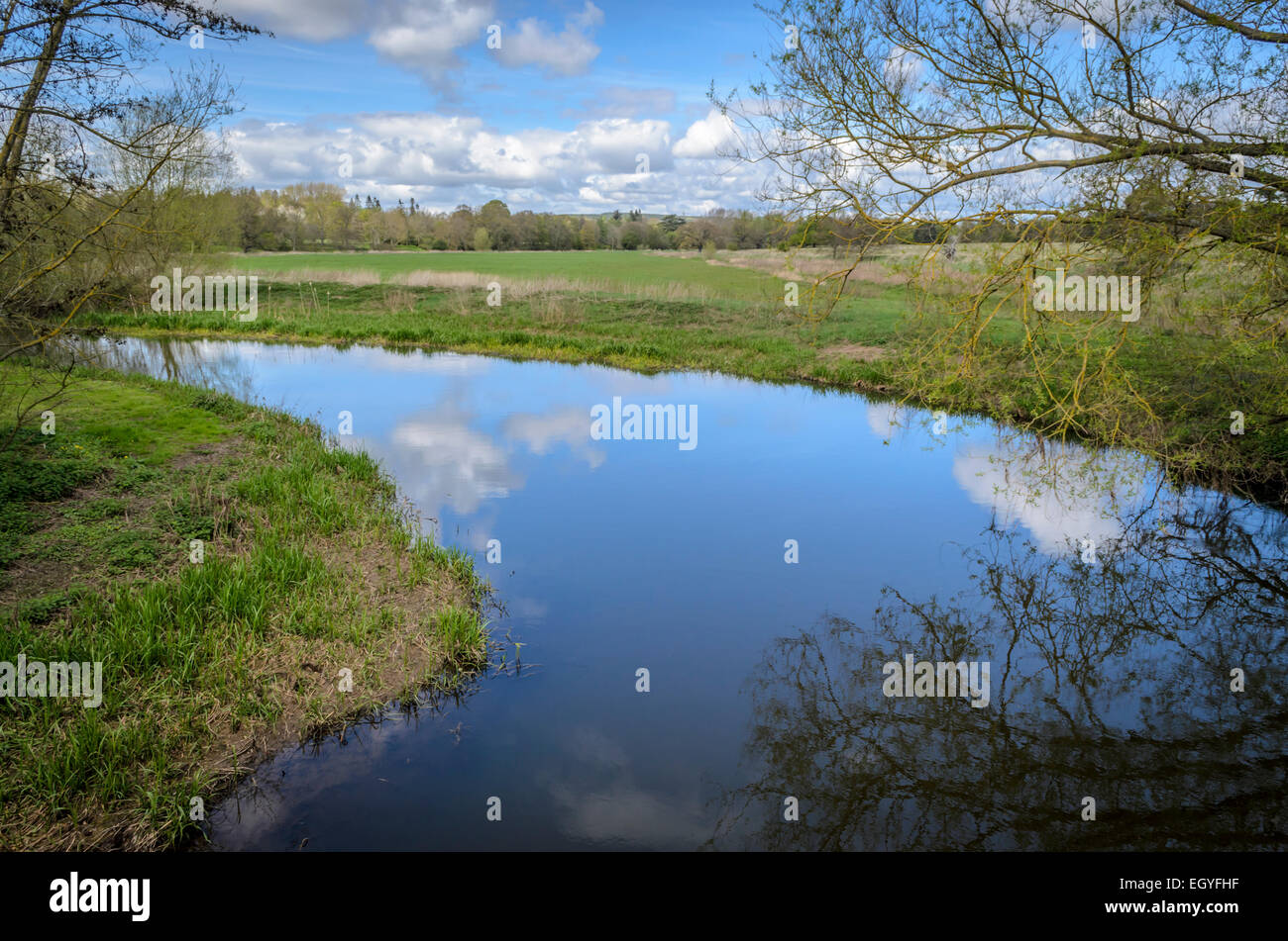 Attingham hi-res stock photography and images - Alamy