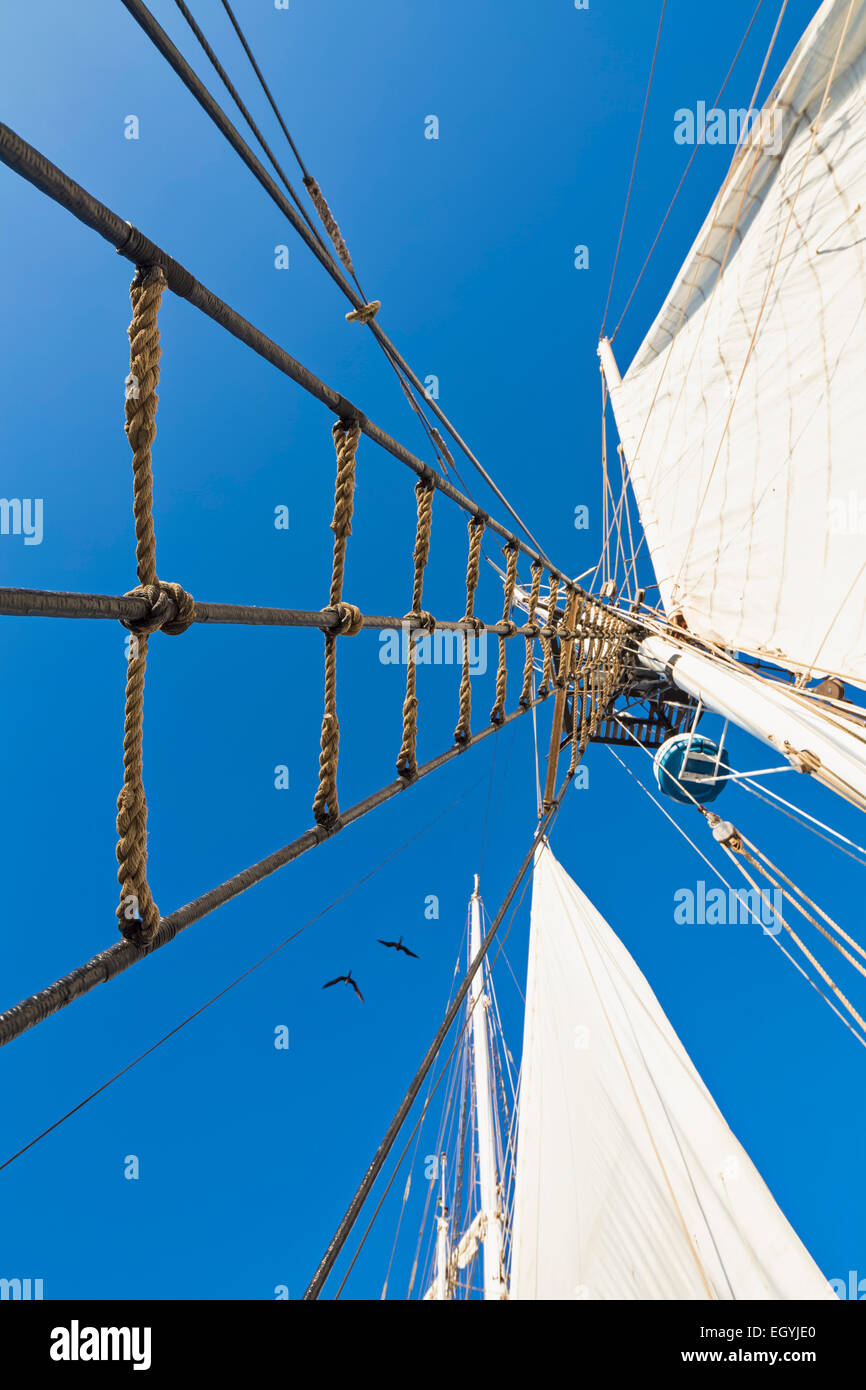 Rigging with rope ladder of a sailing ship Stock Photo - Alamy