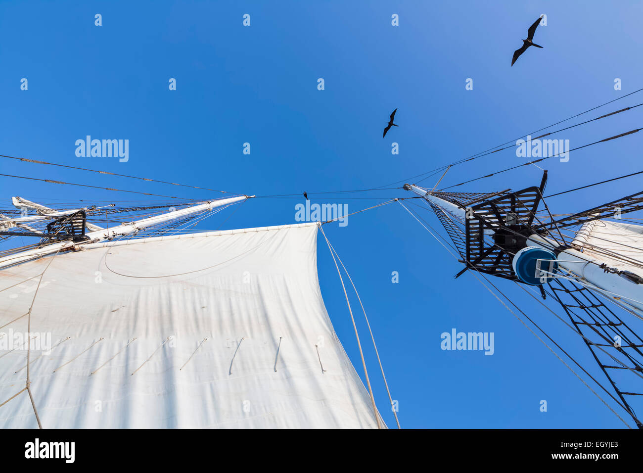 Rigging with sail of a sailing ship Stock Photo - Alamy