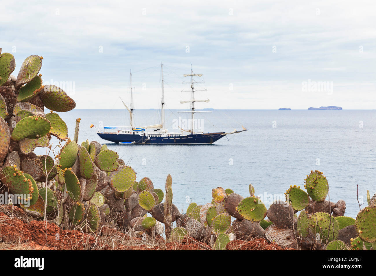 Pacific Ocean, sailing ship at Rabida Island with Opuntia echios ...