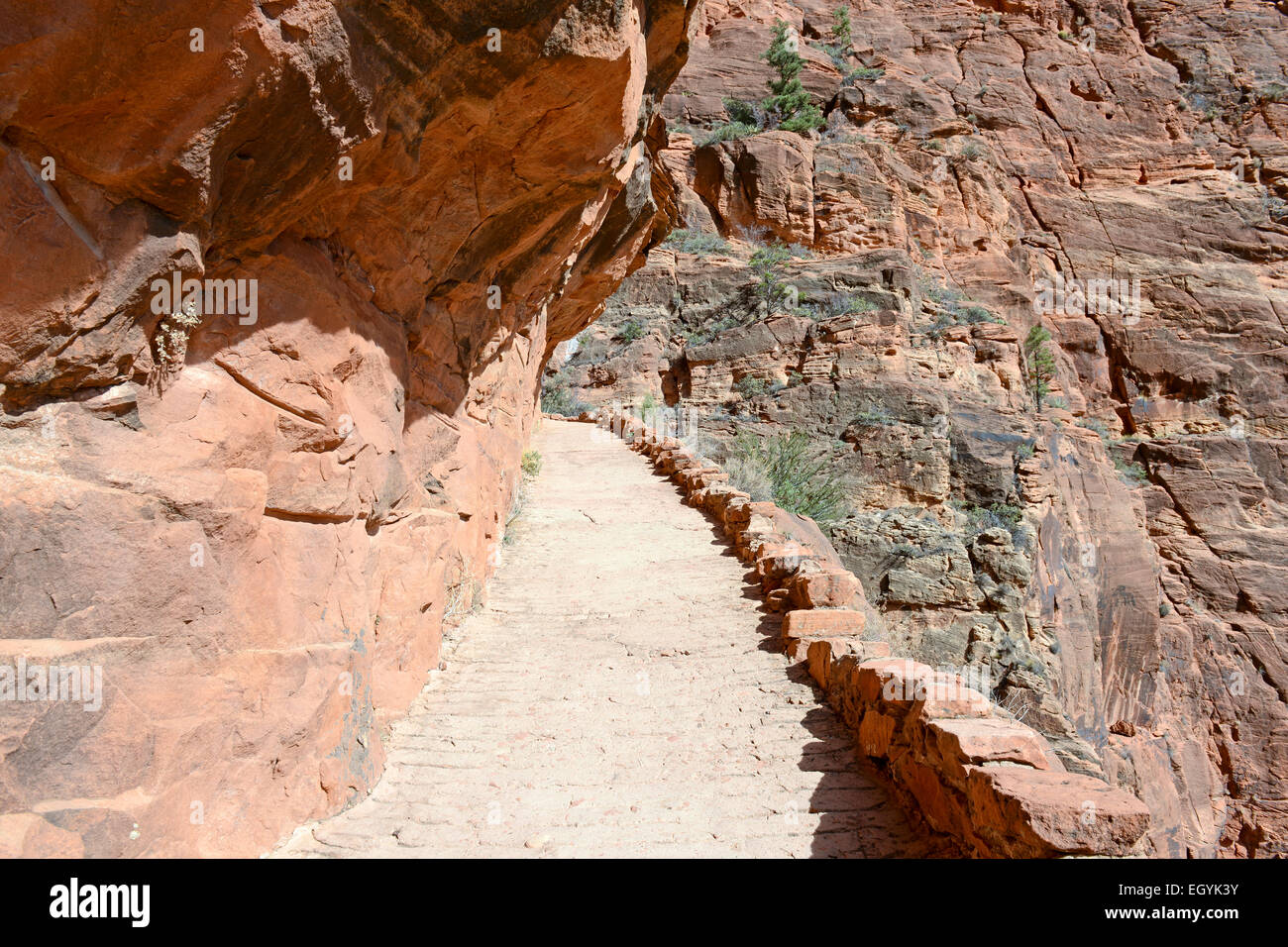 Trail leading up to Angels Landing, Zion National Park, Utah Stock ...