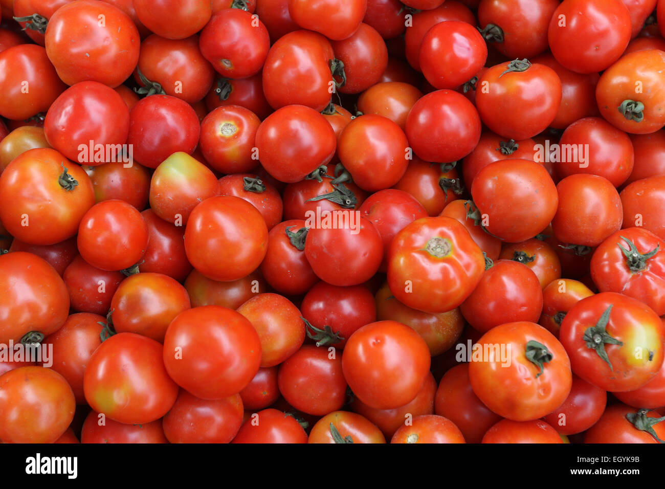 Spoiled tomatoes hi-res stock photography and images - Alamy