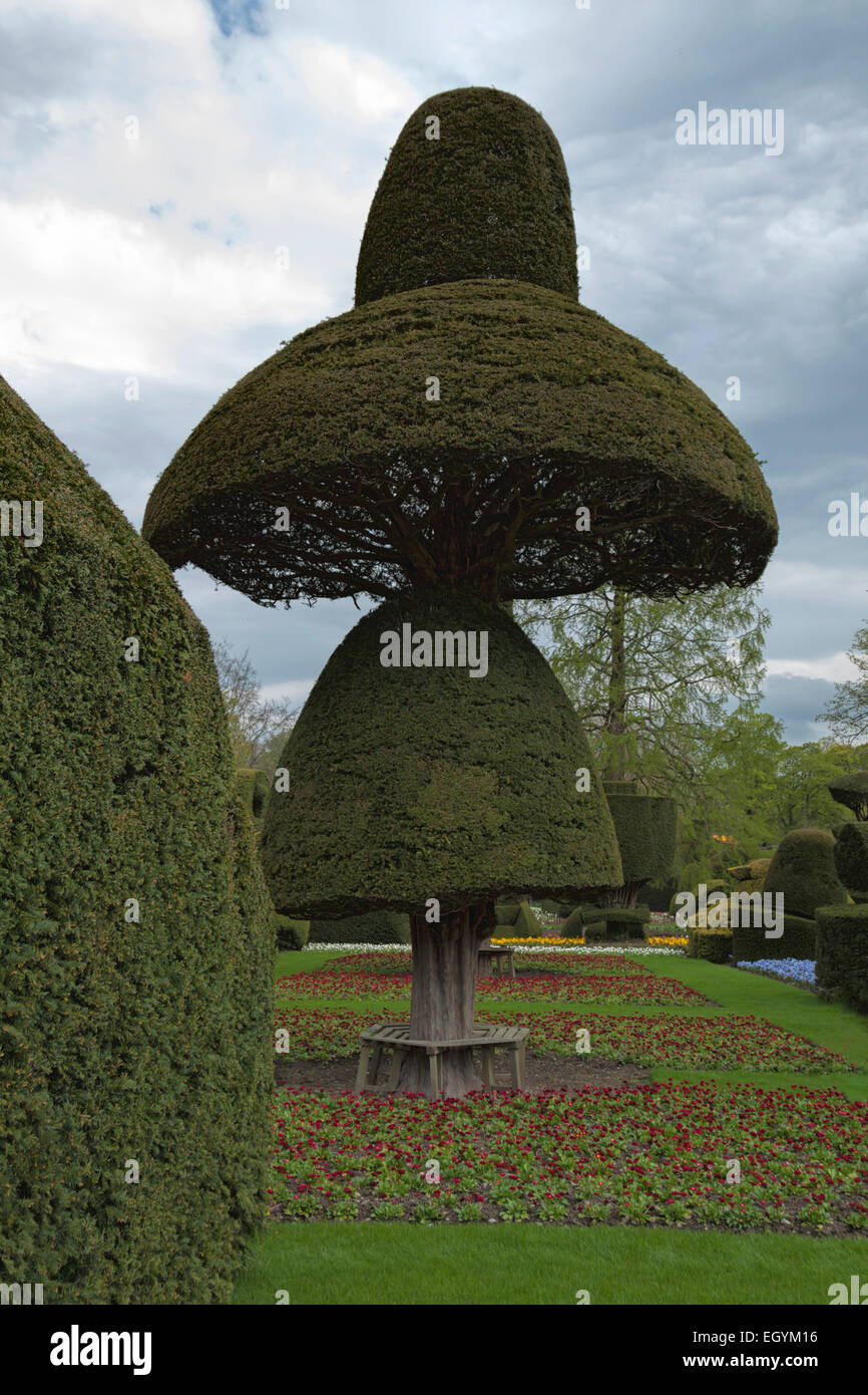 Topiaries open hi-res stock photography and images - Alamy