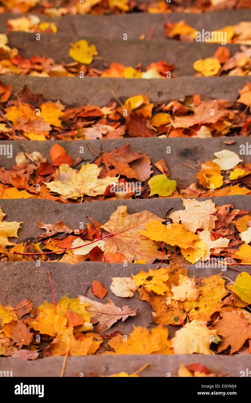 Germany, stairs with autumn leaves Stock Photo - Alamy