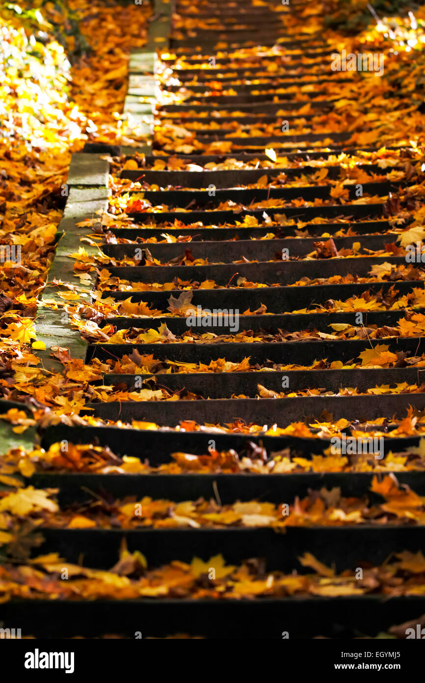 Germany, stairs with autumn leaves Stock Photo - Alamy