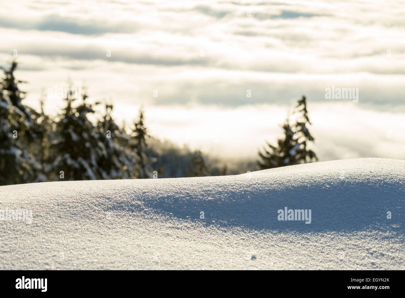 Germany, Baden-Wuerttemberg, Black Forest, snow Stock Photo - Alamy