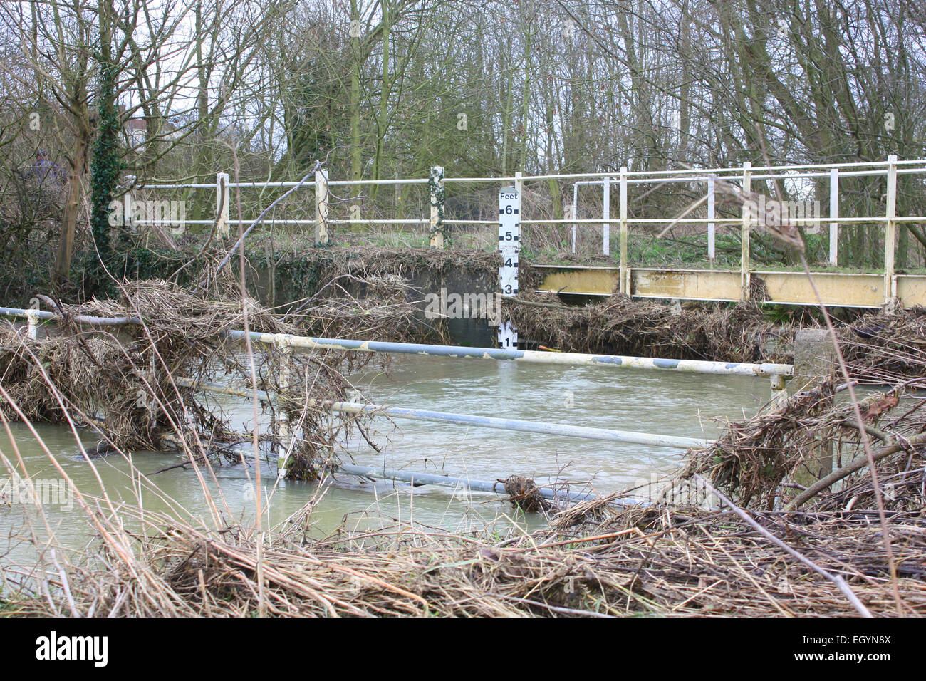 receding flood waters at a country ford in essex Stock Photo - Alamy