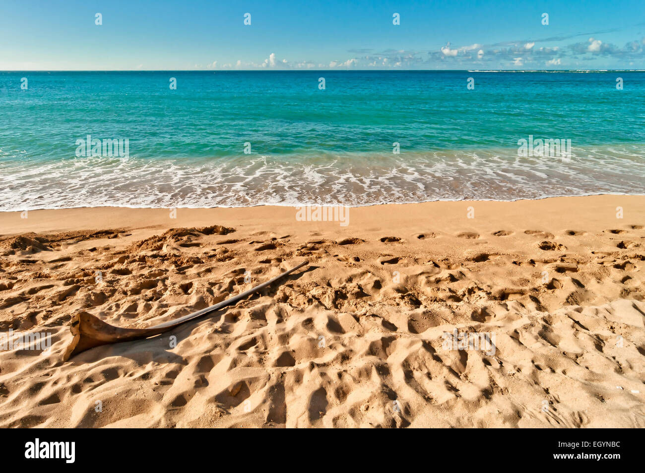 Secluded beach tropical beach hi-res stock photography and images - Alamy