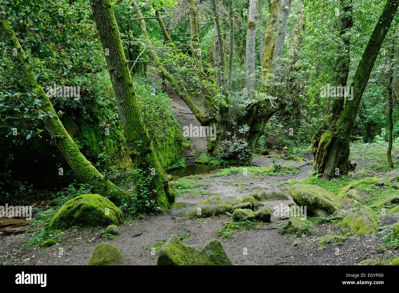 Levie hi-res stock photography and images - Alamy