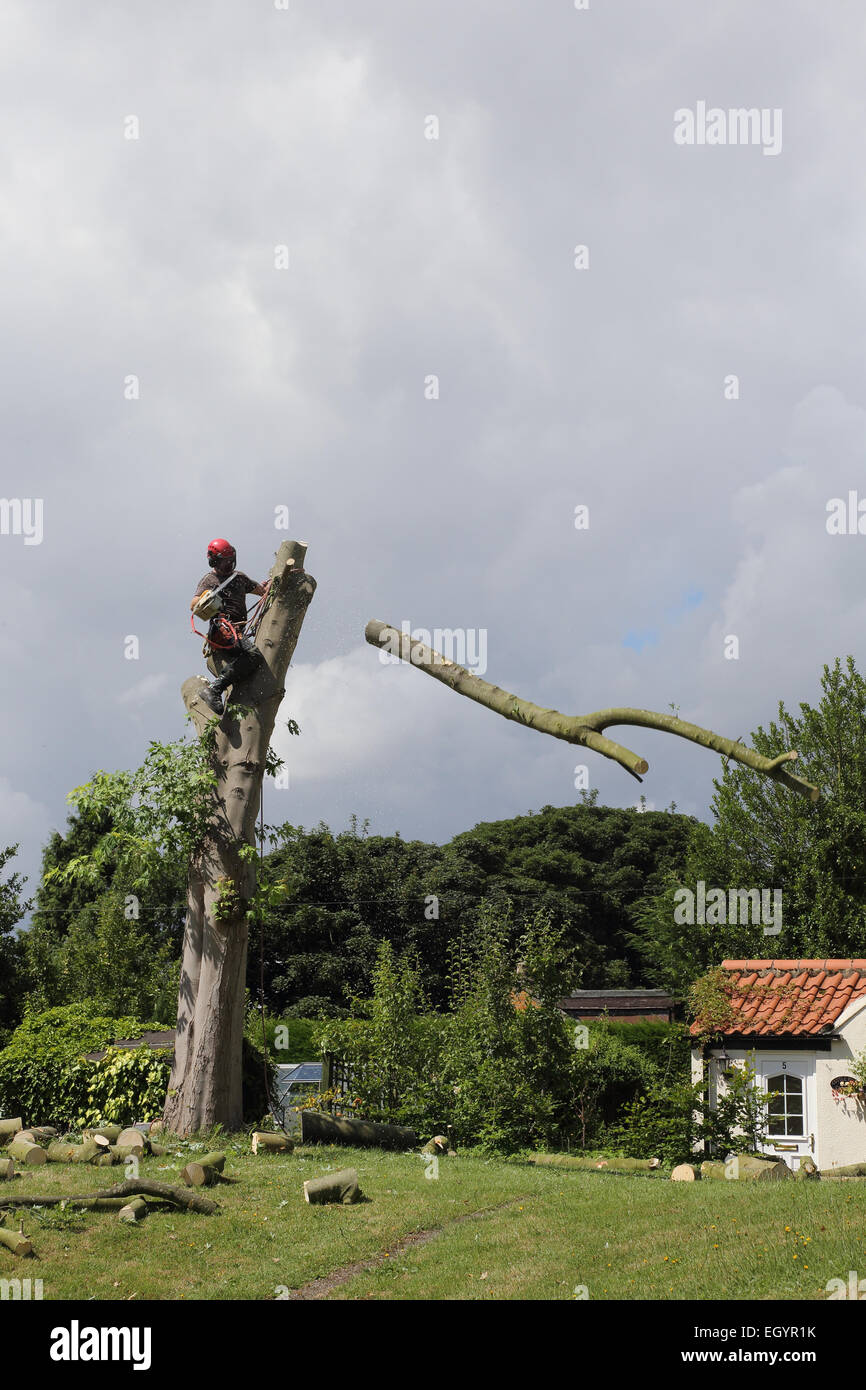 Being cut off hi-res stock photography and images - Alamy