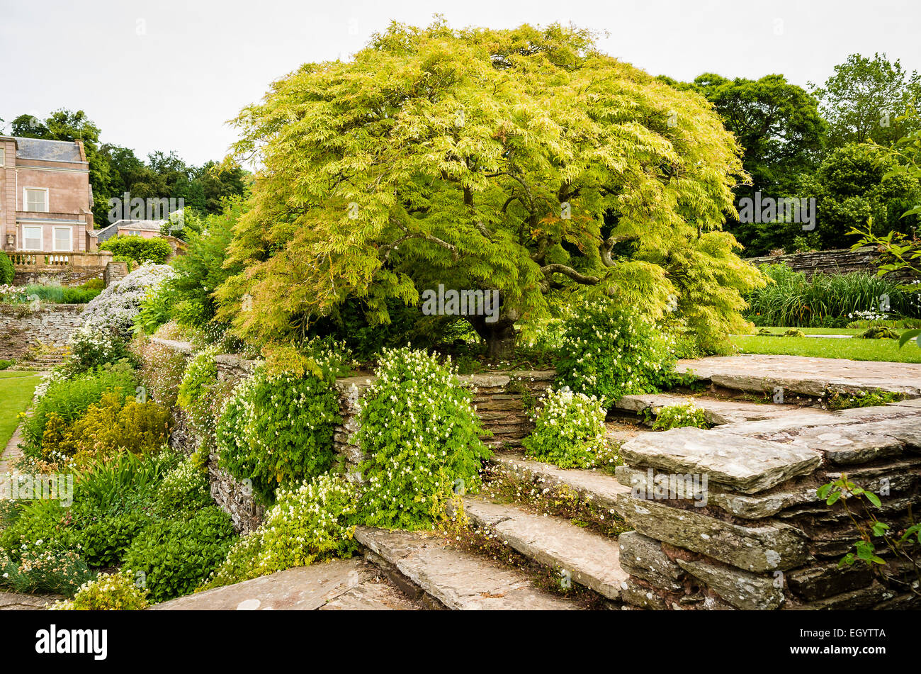 Gertrude jekyll garden hi-res stock photography and images - Alamy