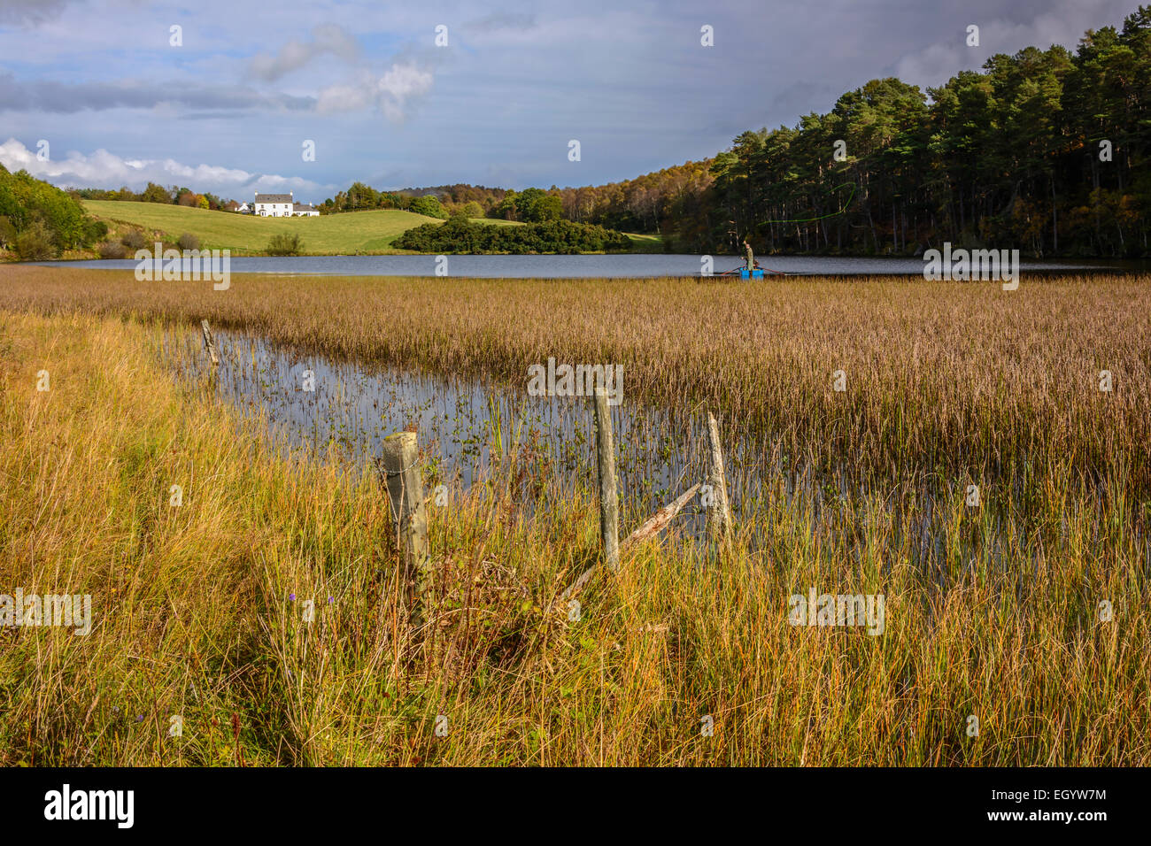 Loch Lundy, Black Isle, Highland Stock Photo - Alamy