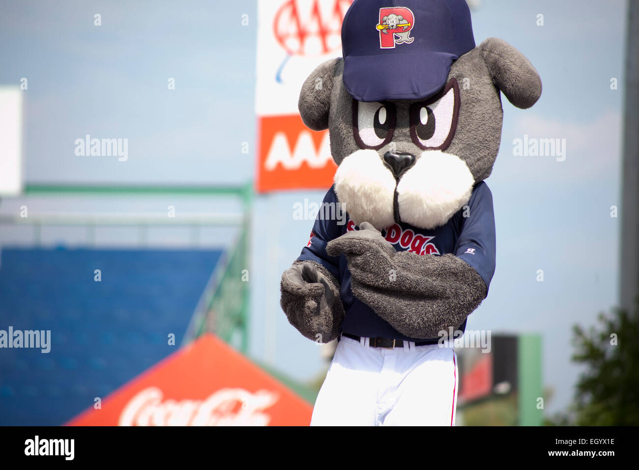 Baseball mascot hi-res stock photography and images - Alamy