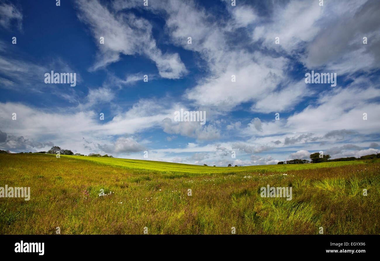 Set aside field hi-res stock photography and images - Alamy