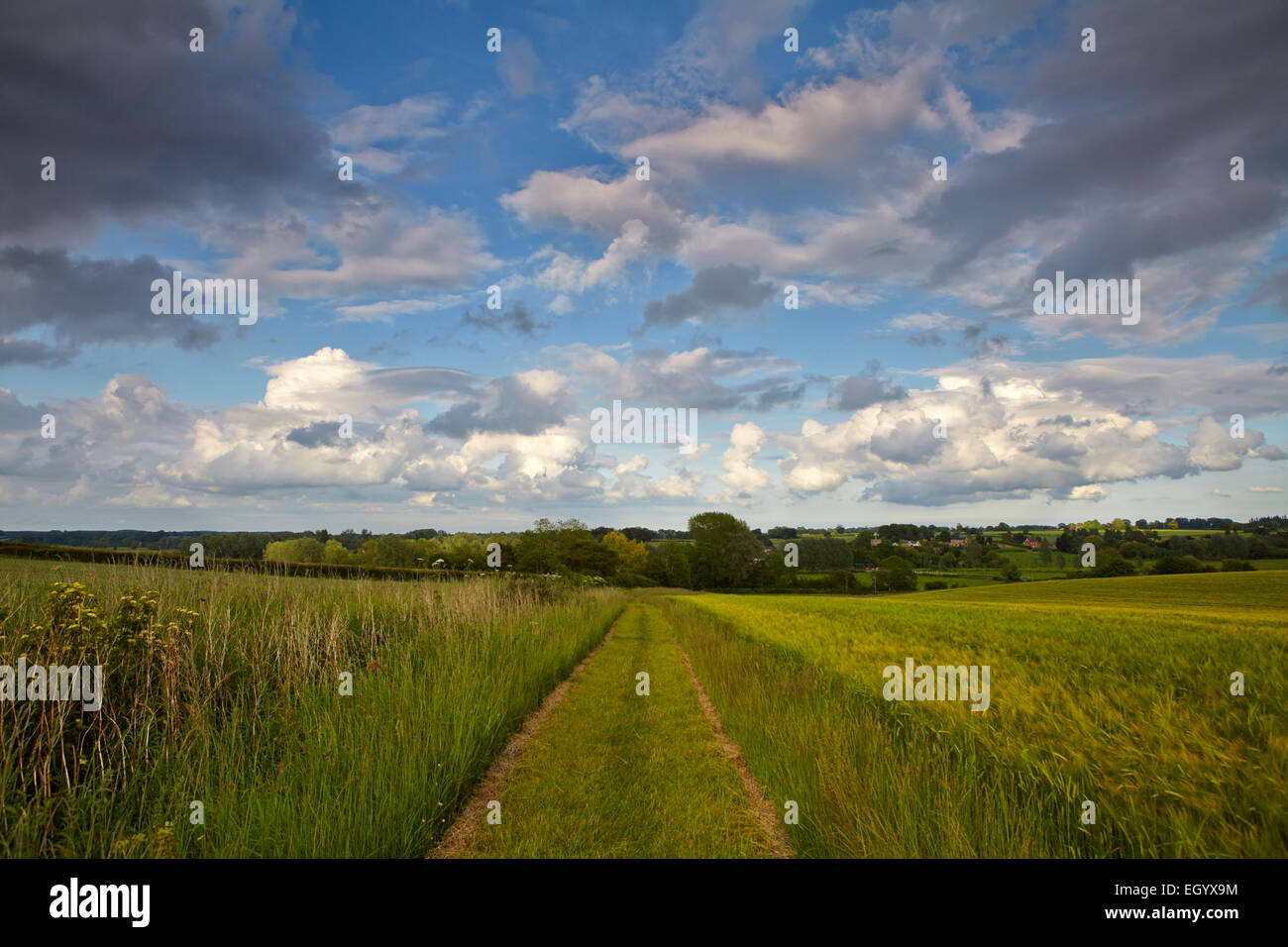 Angles Way footpath in Norfolk, UK Stock Photo - Alamy